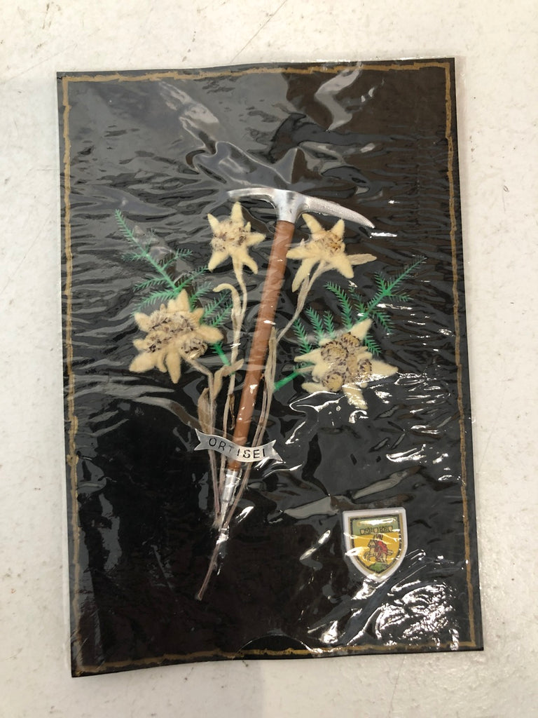 ORTISEI STELLA ALPINA 15X10 CM – LoVendo Ragusa