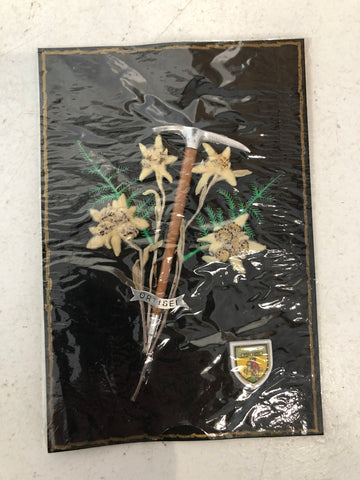 ORTISEI STELLA ALPINA 15X10 CM – LoVendo Ragusa